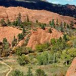 - Friends of Red Rock Canyon